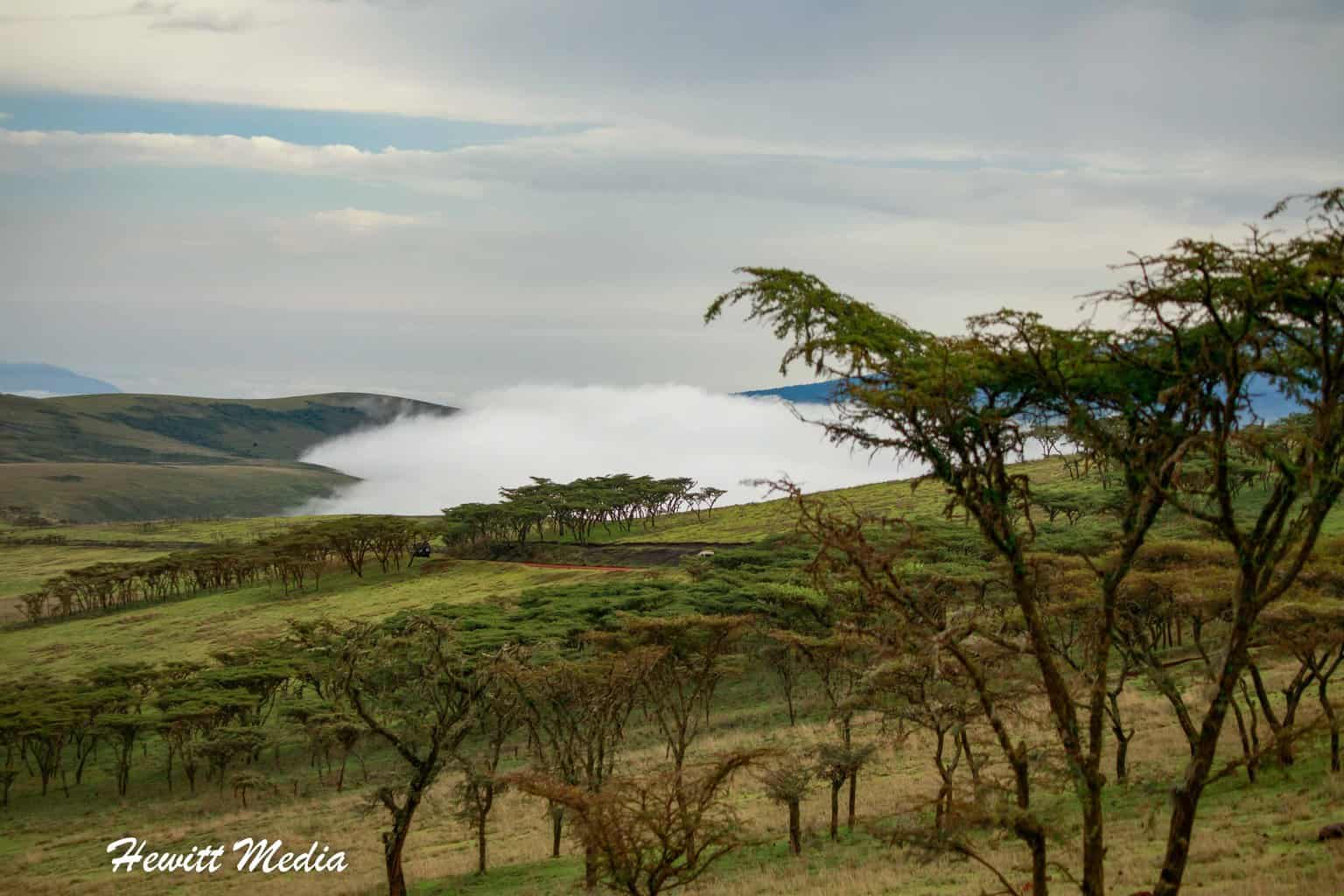 Everything You Need to Know to Visit Ngorongoro Crater Safari Guide
