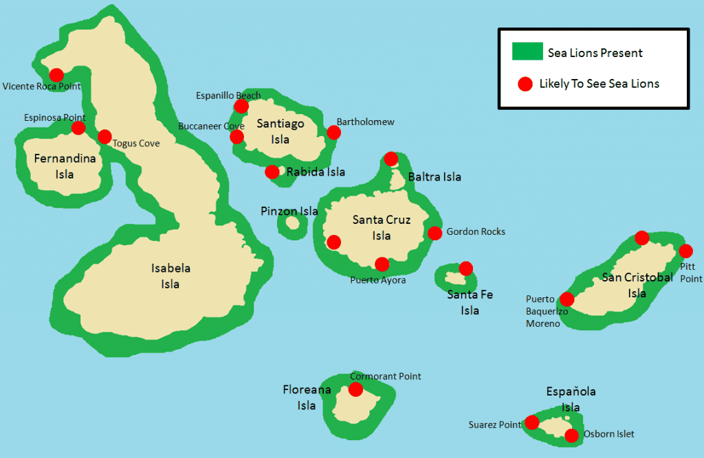 The Ultimate Galápagos Islands Wildlife Guide