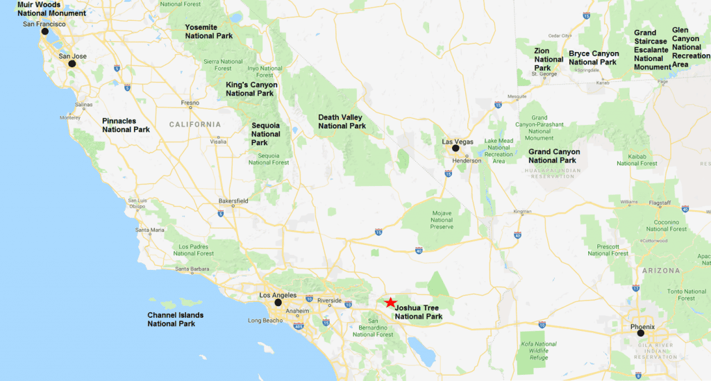 An All You Need Joshua Tree National Park Guide