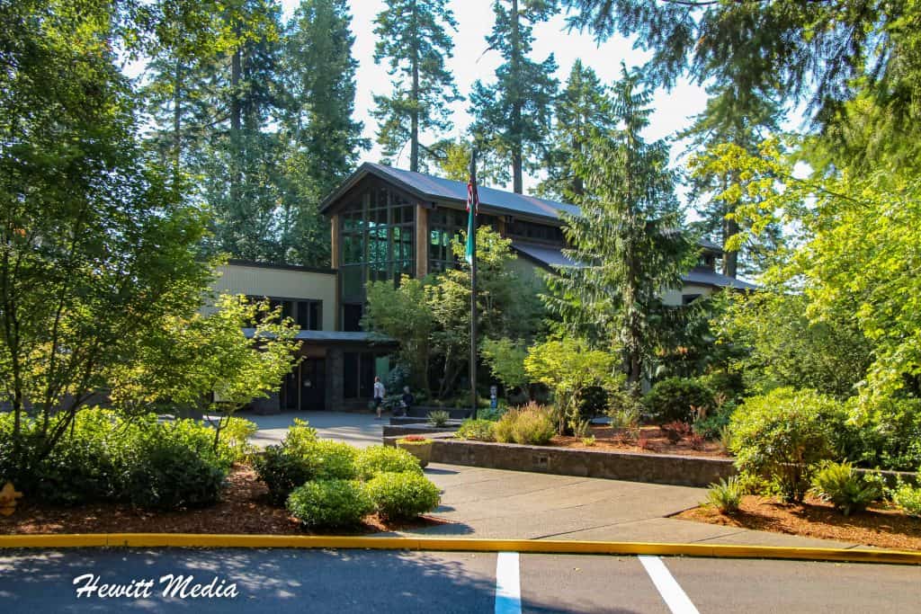 The All You Need Mount St. Helens Visitor Guide