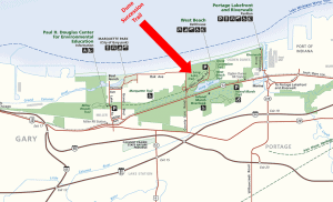 A Complete Indiana Dunes Park Guide for National Park Travelers