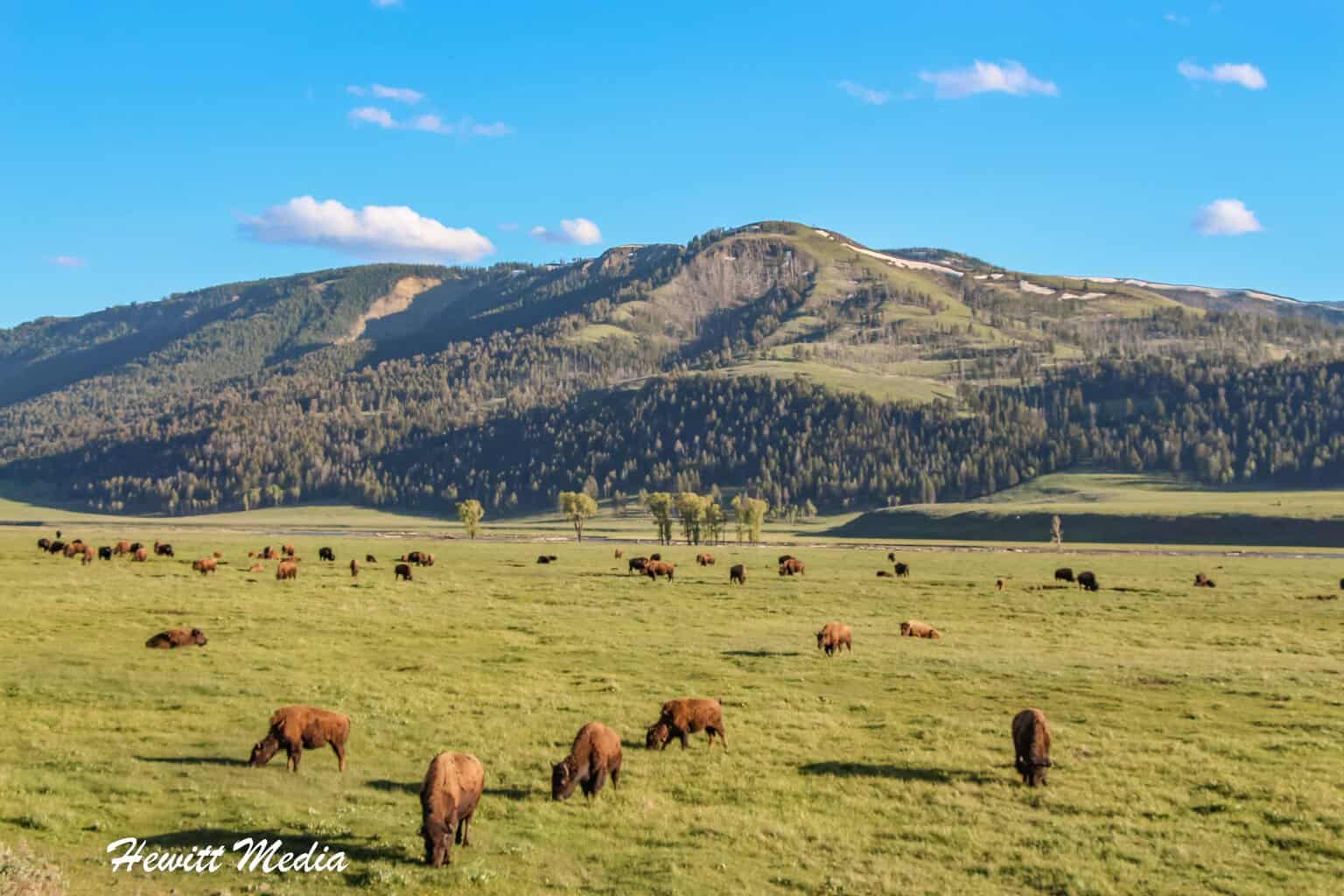 Wyoming Travel Guide: Explore Natural Wonders