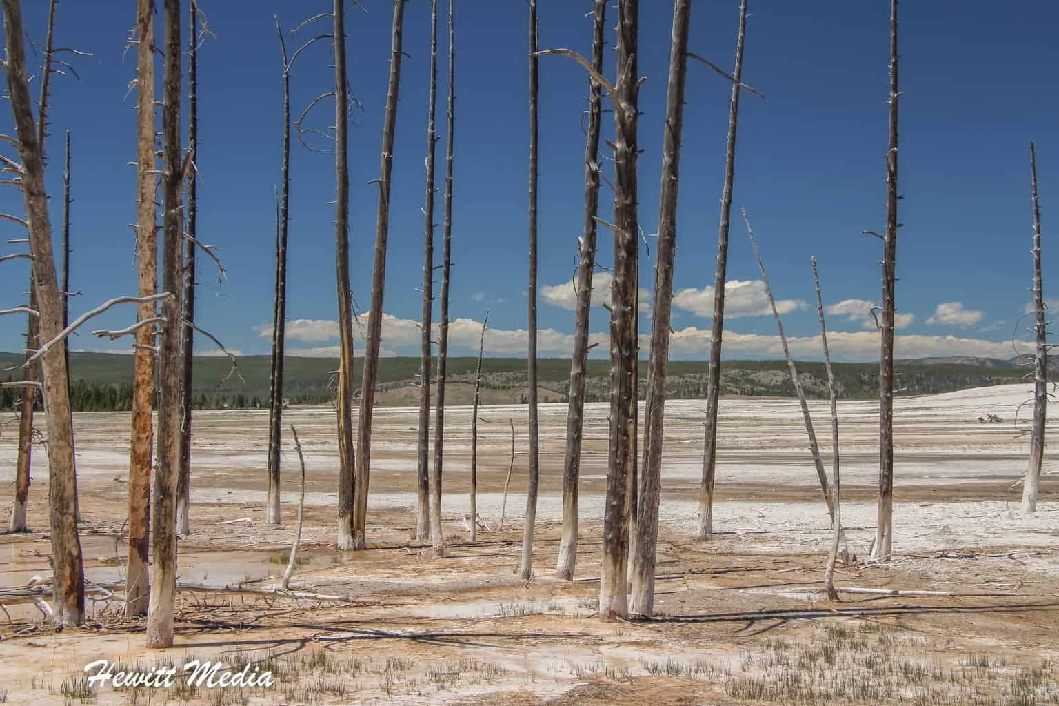 A Complete Yellowstone and Grand Teton Visitor Guide