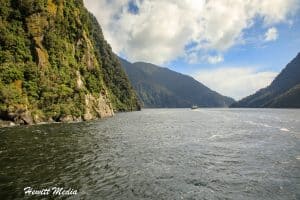 The Essential Milford Sound Travel Guide