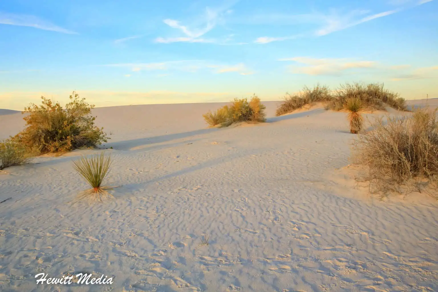 White Sands Visitor Guide: Exploring the Stunning Landscape