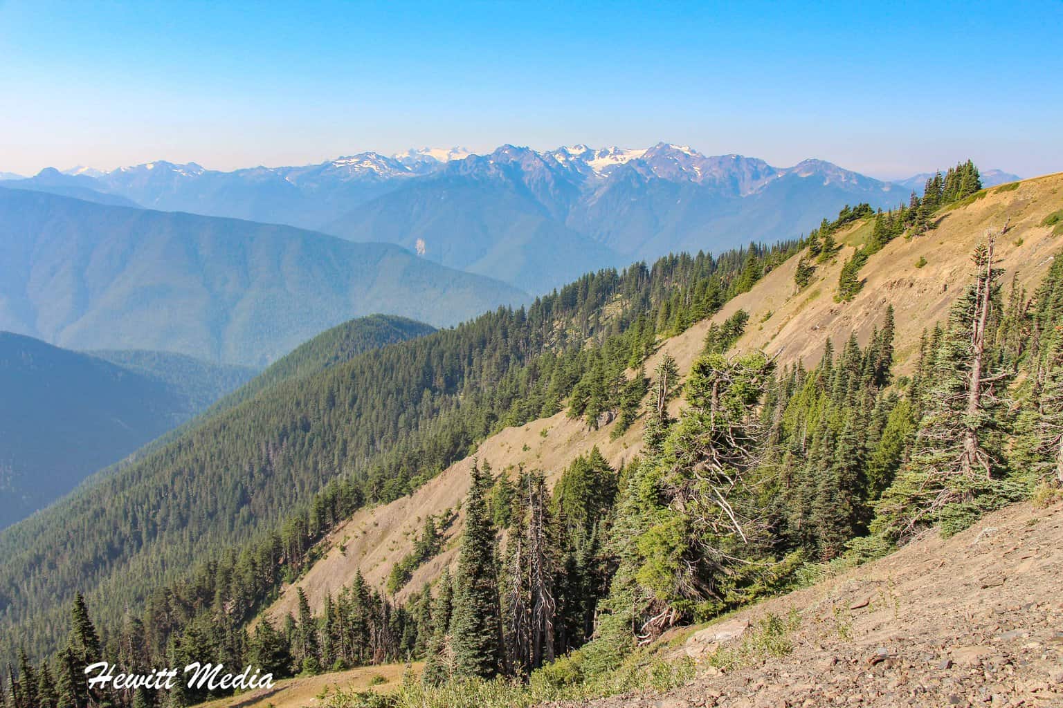 The Complete Olympic National Park Guide