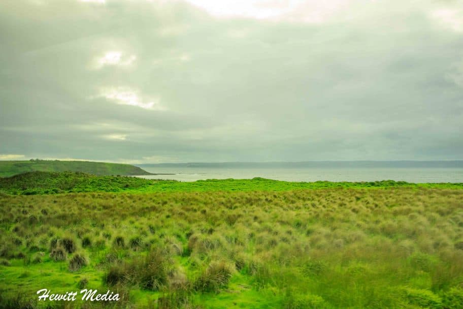Guide to Seeing the Phillip Island Penguin Parade