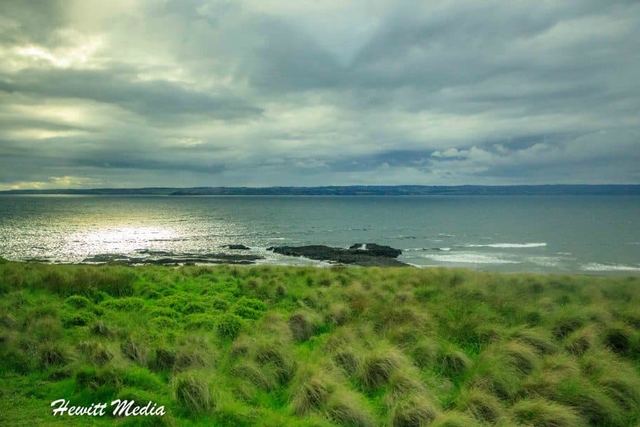 Guide to Seeing the Phillip Island Penguin Parade