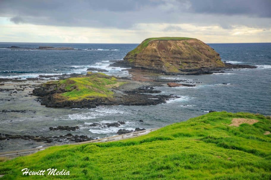 Guide to Seeing the Phillip Island Penguin Parade