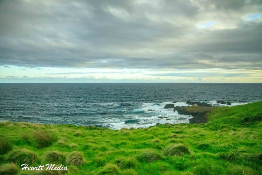 Guide to Seeing the Phillip Island Penguin Parade