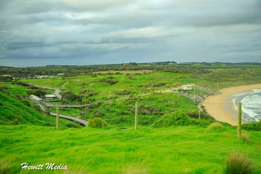 Guide to Seeing the Phillip Island Penguin Parade