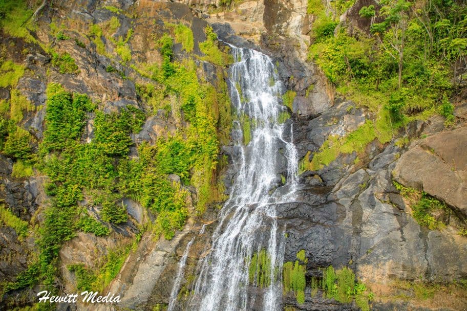 The Complete Kuranda Rainforest Guide for Visitors