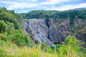 The Complete Kuranda Rainforest Guide for Visitors