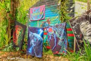 The Complete Kuranda Rainforest Guide for Visitors