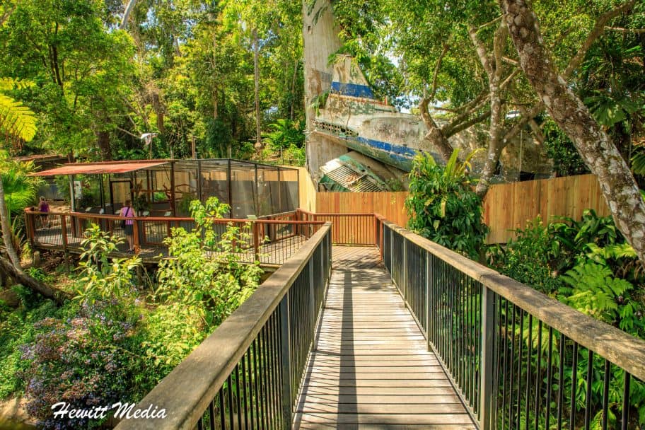 The Complete Kuranda Rainforest Guide for Visitors