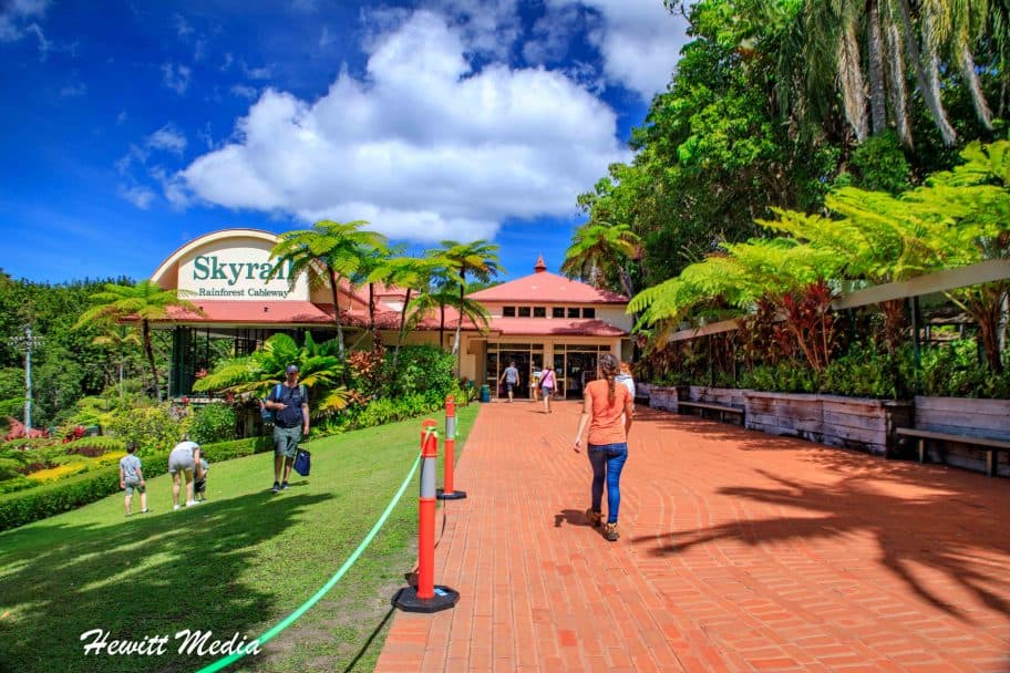 The Complete Kuranda Rainforest Guide for Visitors