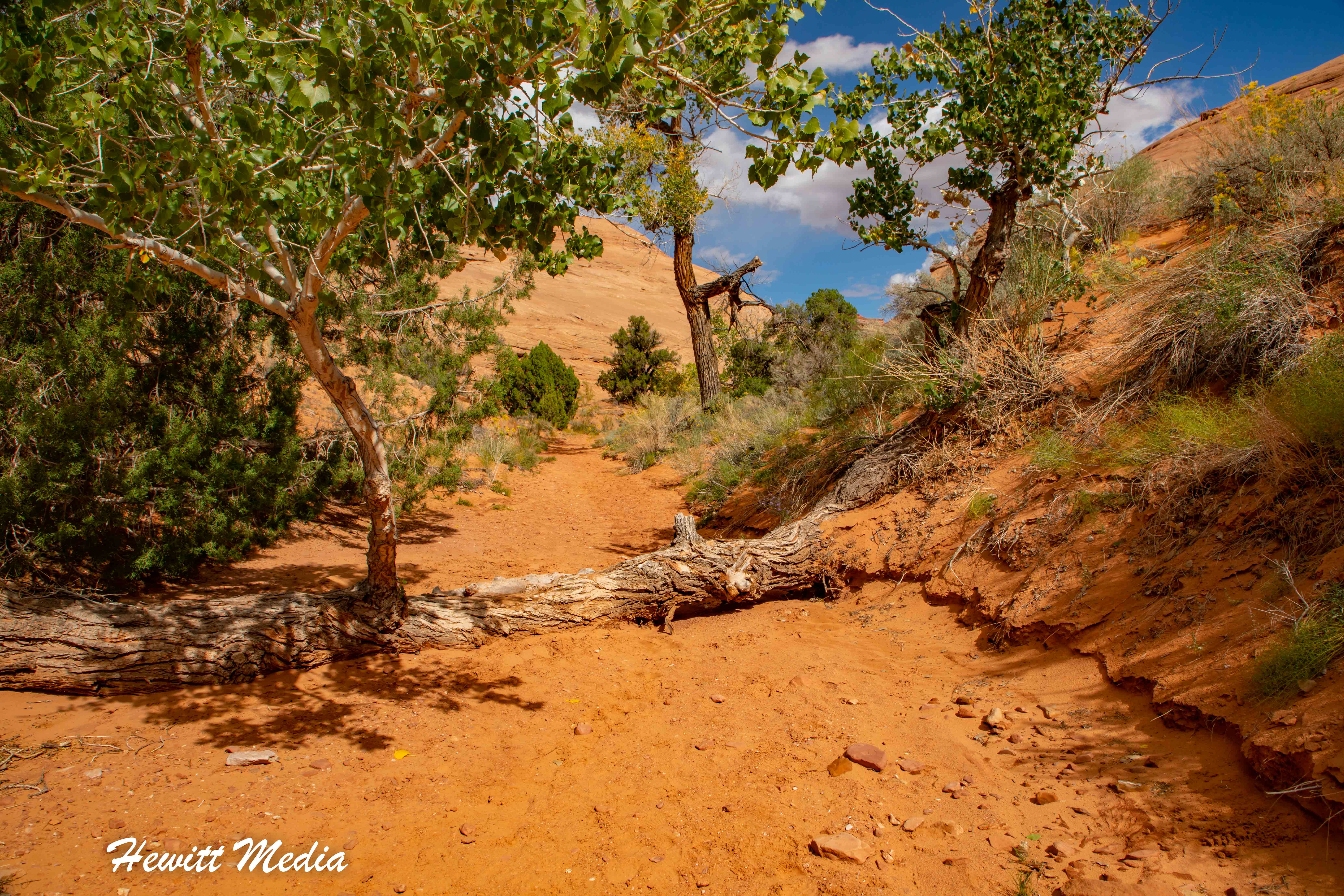 Plan Your Adventure: Leprechaun Canyon Trail Guide
