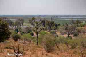 The Ultimate Chobe National Park Safari Guide