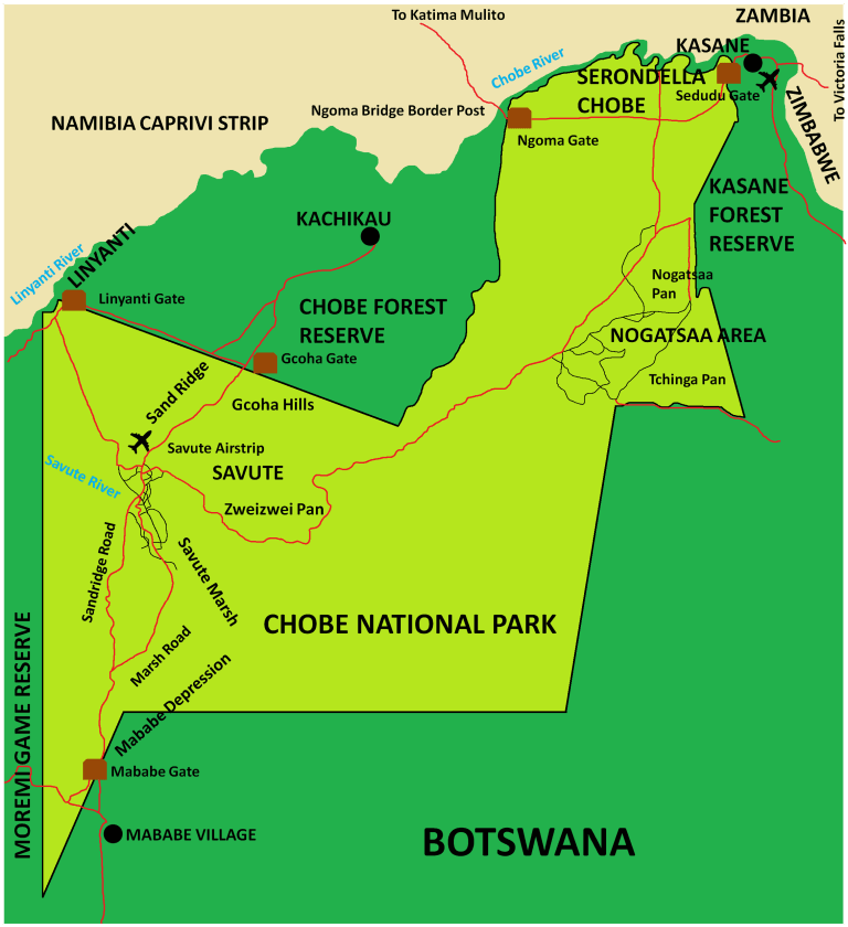 The Ultimate Chobe National Park Safari Guide