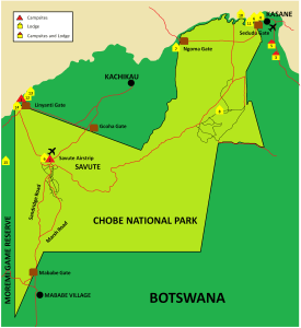 The Ultimate Chobe National Park Safari Guide