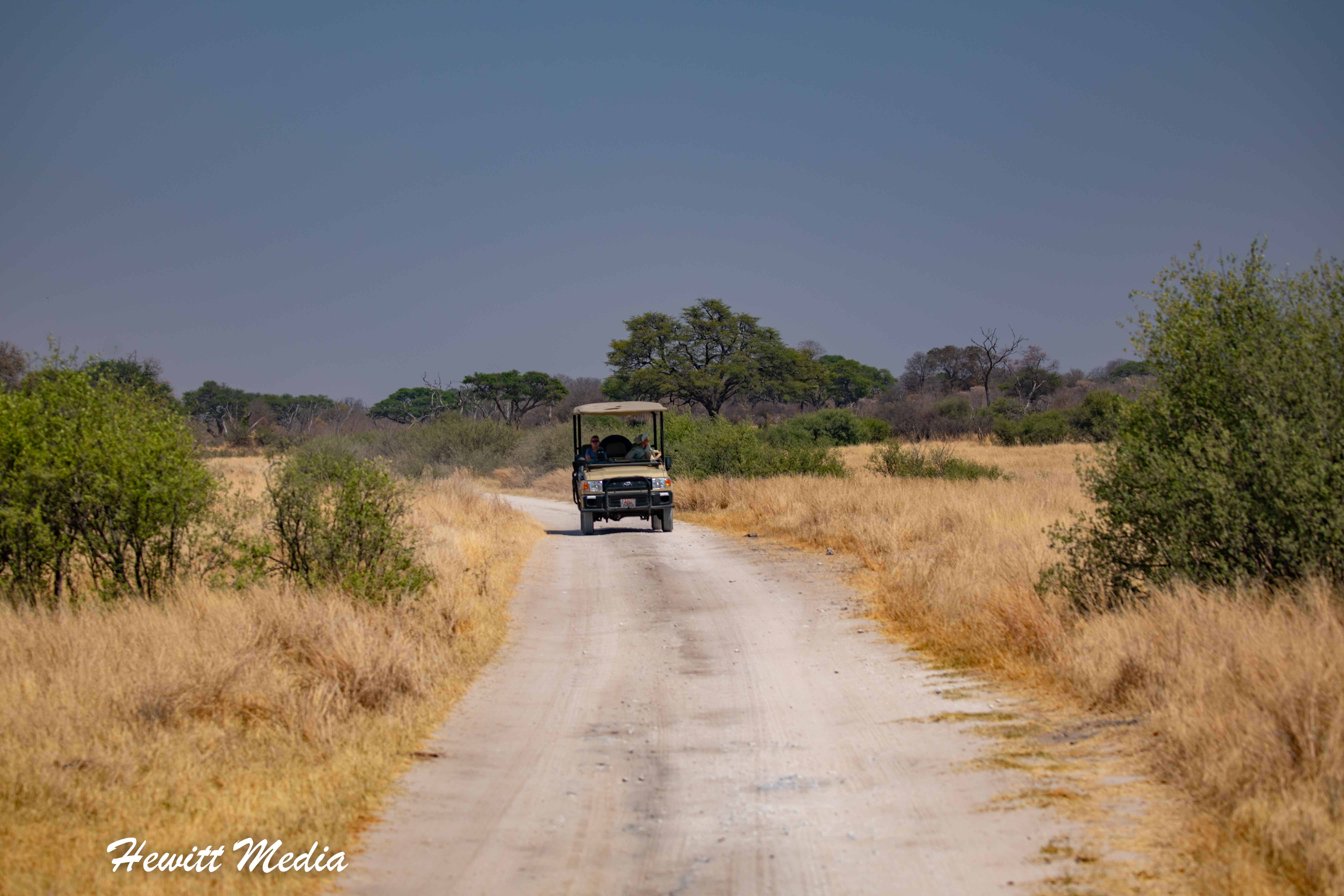 Hwange National Park Safari - A Definitive Guide