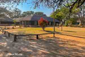 Hwange National Park Safari - A Definitive Guide