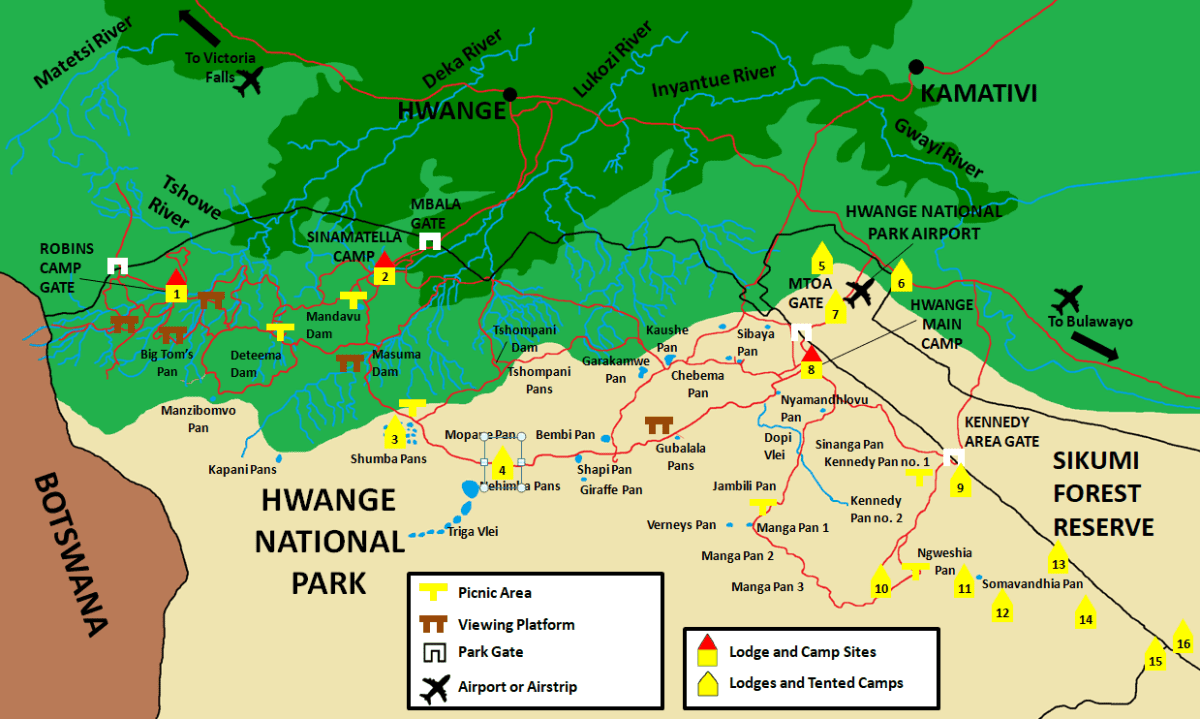 Hwange National Park Safari - A Definitive Guide
