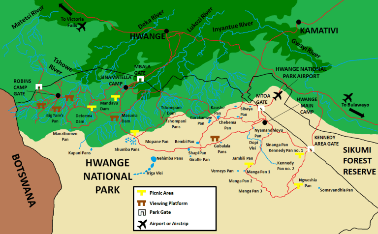 Hwange National Park Safari - A Definitive Guide