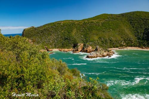 The Everything You Need to Know Garden Route Adventure Guide