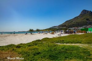 The Ultimate Cape Town Travel Guide for Visitors to South Africa