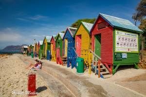 The Ultimate Cape Town Travel Guide for Visitors to South Africa