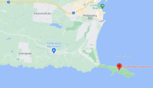 The Everything You Need to Know Garden Route Adventure Guide