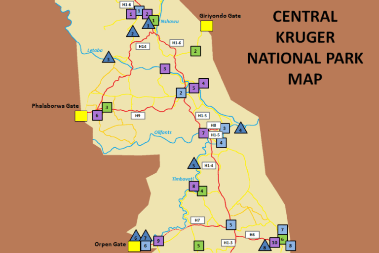 The Ultimate Kruger National Park Safari Planning Guide