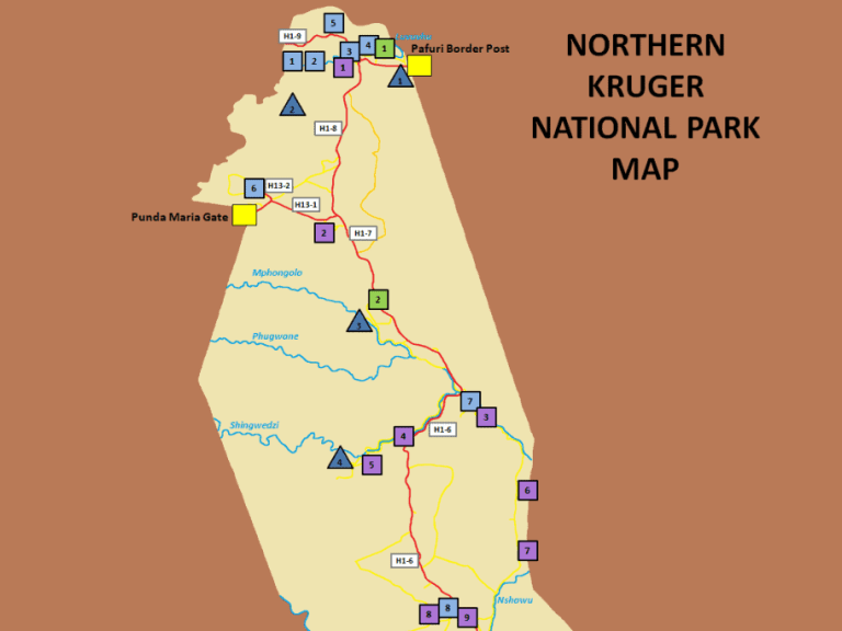 The Ultimate Kruger National Park Safari Planning Guide