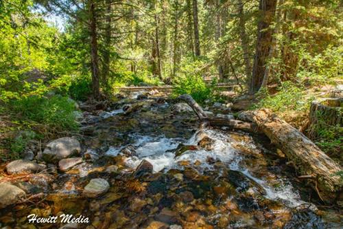 Everything You Need to Visit the Great Basin National Park