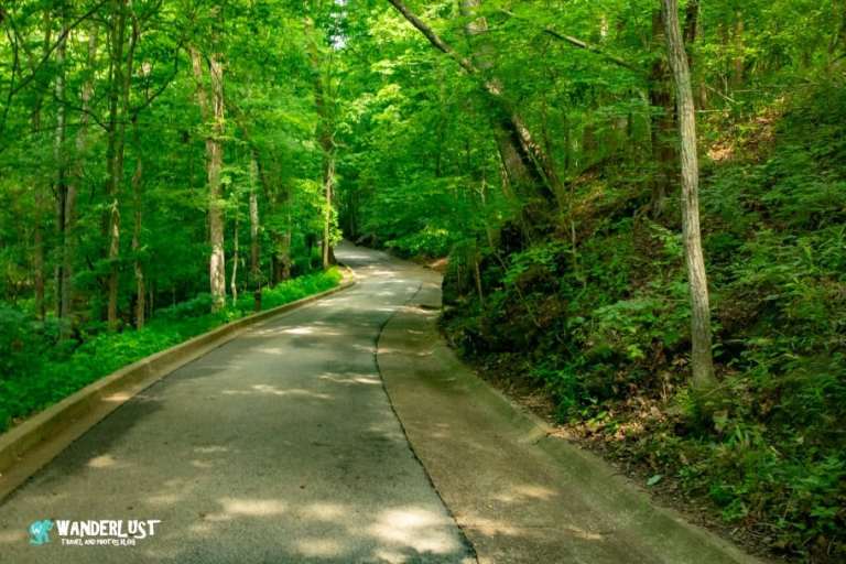 Discover Mammoth Cave National Park: Your Must-Have Guide