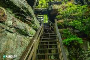 Exploring New River Gorge National Park: A Comprehensive Guide