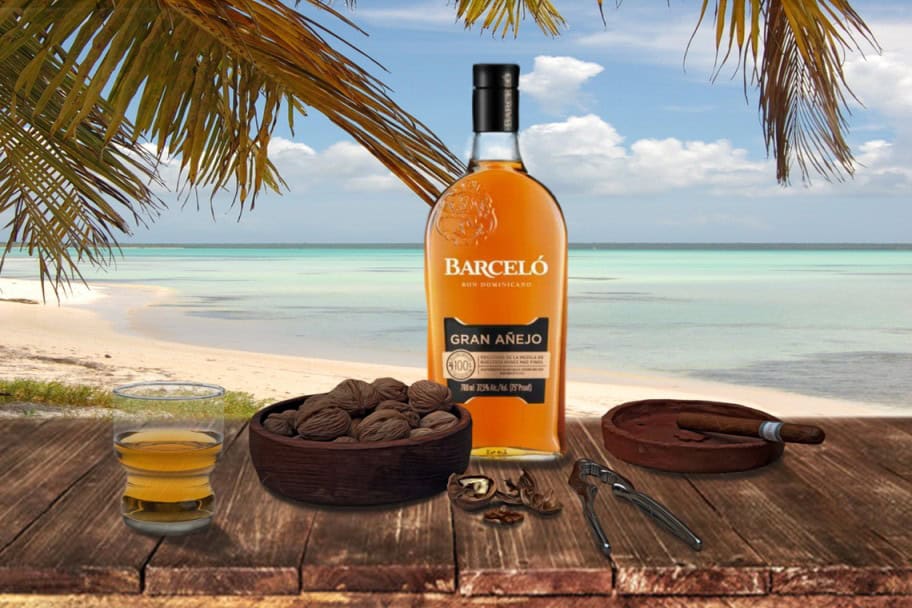 Adventure Awaits: Top Things to Do in the Dominican Republic