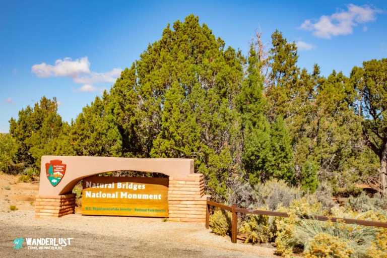 Natural Bridges National Monument: A Must-Visit Destination